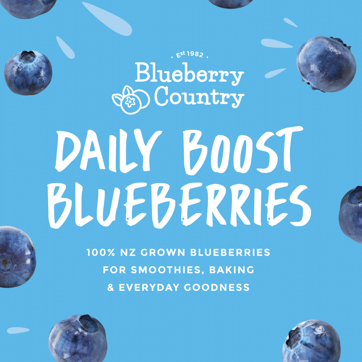 Daily Boost - Blueberry Country
